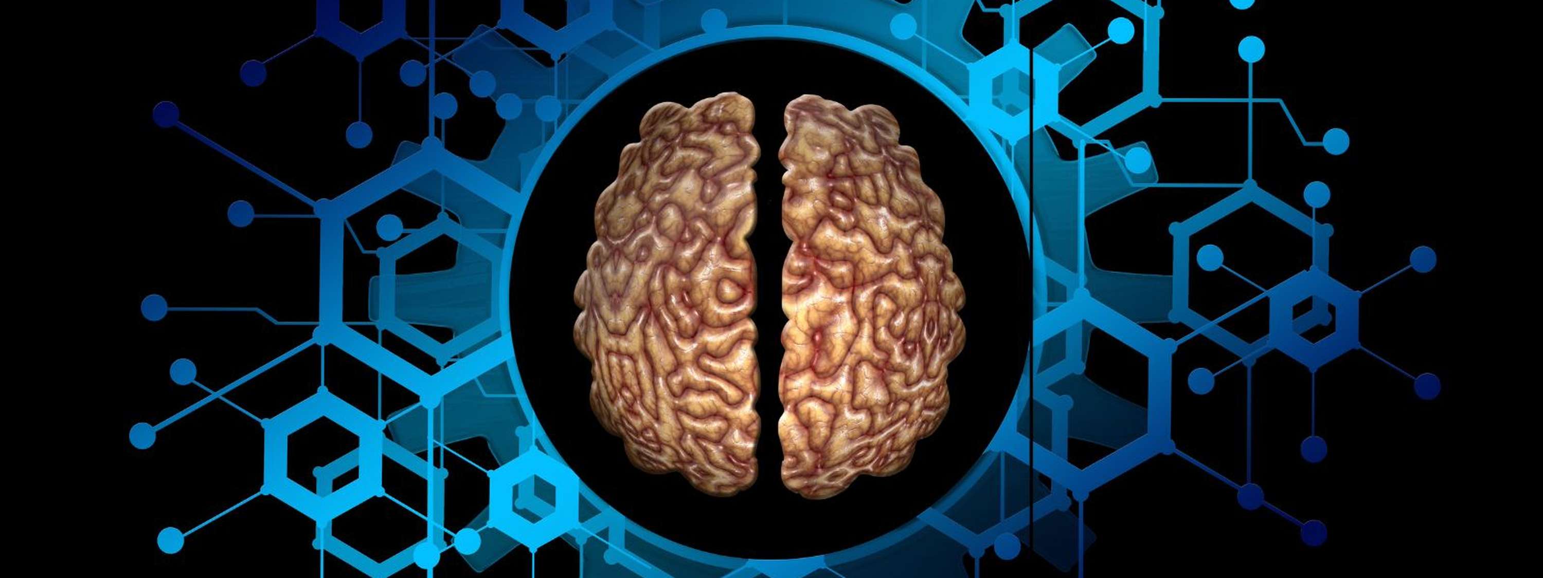 IA et neurobiologie : la fonction autobiographique du cerveau