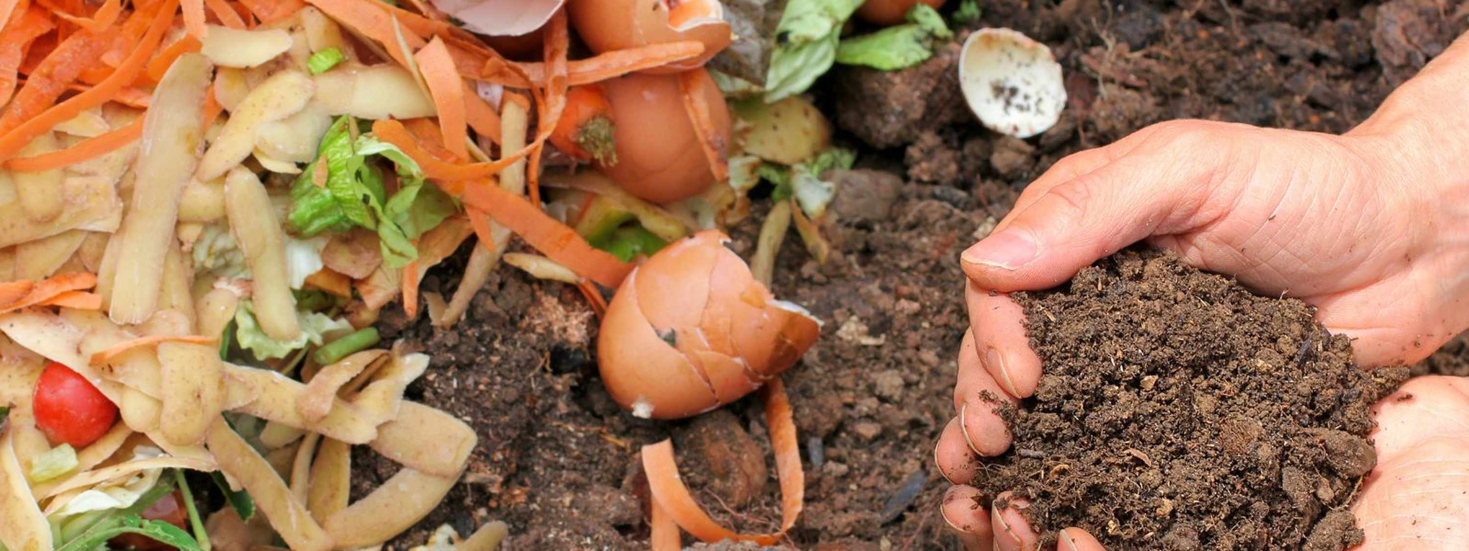 Compostage humain, et après…