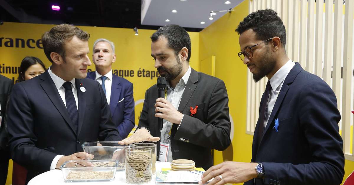 La chute d’Ÿnsect, cas d’école des errements de la start-up nation