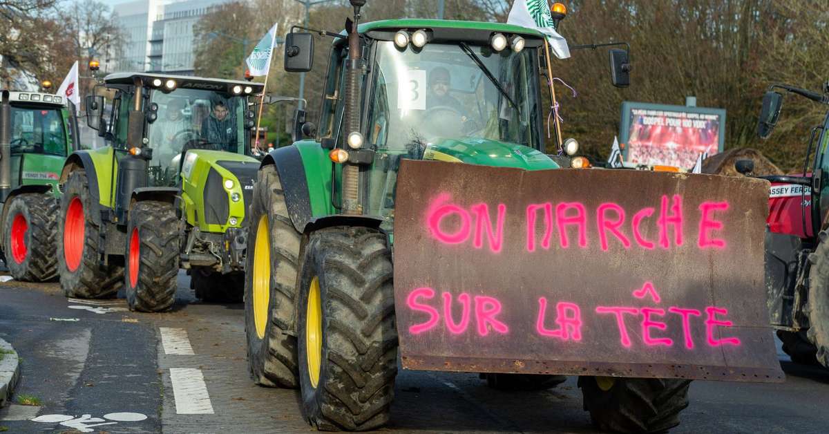 Souveraineté alimentaire et marges abusives : le ras le bol des agriculteurs
